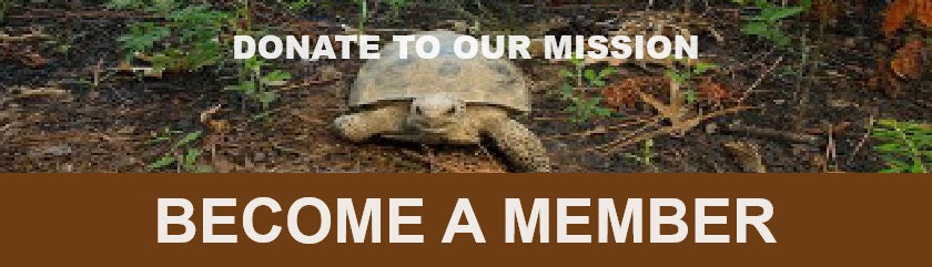 TTC Member Sponsorship Levels – The Tortoise Conservancy | Save The ...
