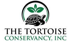 Meet the Neighbors: Animals that Share Gopher Tortoise Burrows – The ...