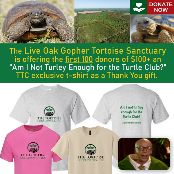 Donate $100+ get an "Am I Not Turtley Enough for the Turtle Club?" T-s ...